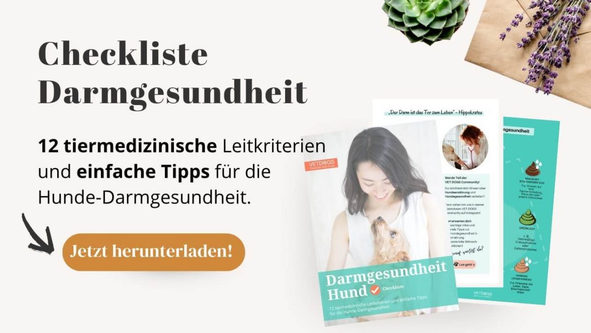 Body Condition Score (BCS) beim Hund - So ermittelst du ihn richtig ...