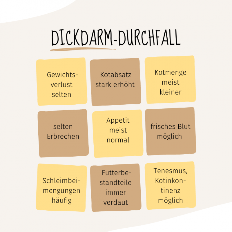Chronischer Durchfall beim Hund - Das MUSST du darüber wissen ...