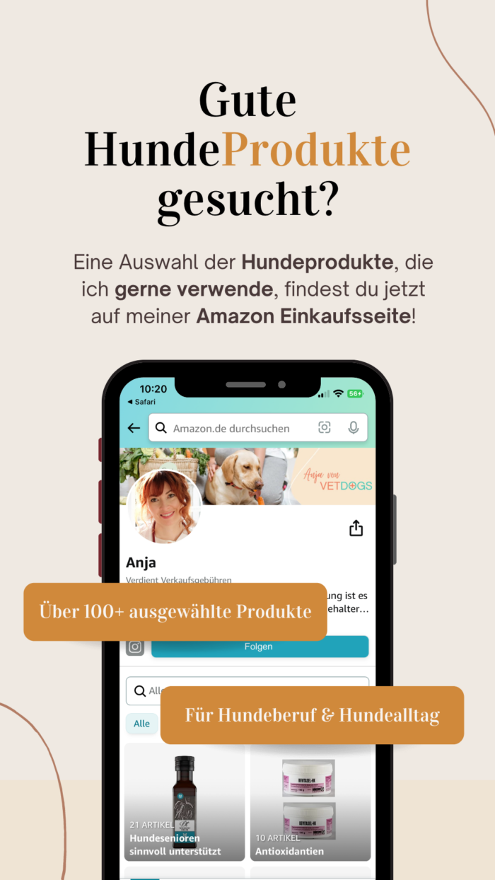 Body Condition Score (BCS) beim Hund - So ermittelst du ihn richtig ...