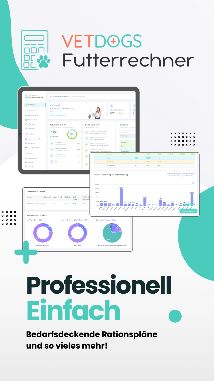 Body Condition Score (BCS) beim Hund - So ermittelst du ihn richtig ...